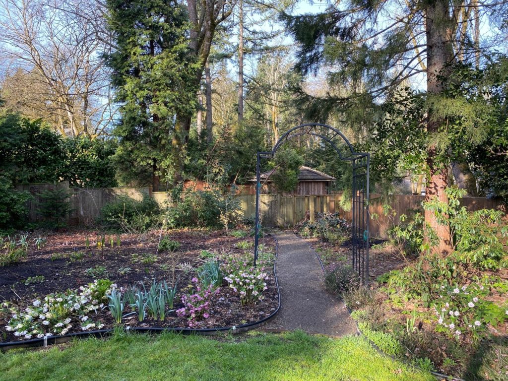 Open Gardens Project - Featuring Mr. Bizzy Bee's Habitat - Backyard ...