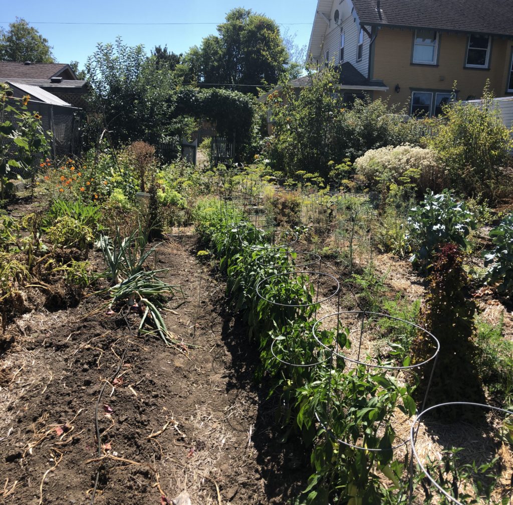 Open Gardens Project - Featuring Melissa's Habitat - Backyard Habitats