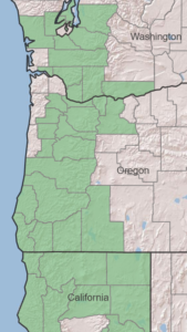 Native Plant Highlight: Oregon Ash - Backyard Habitats