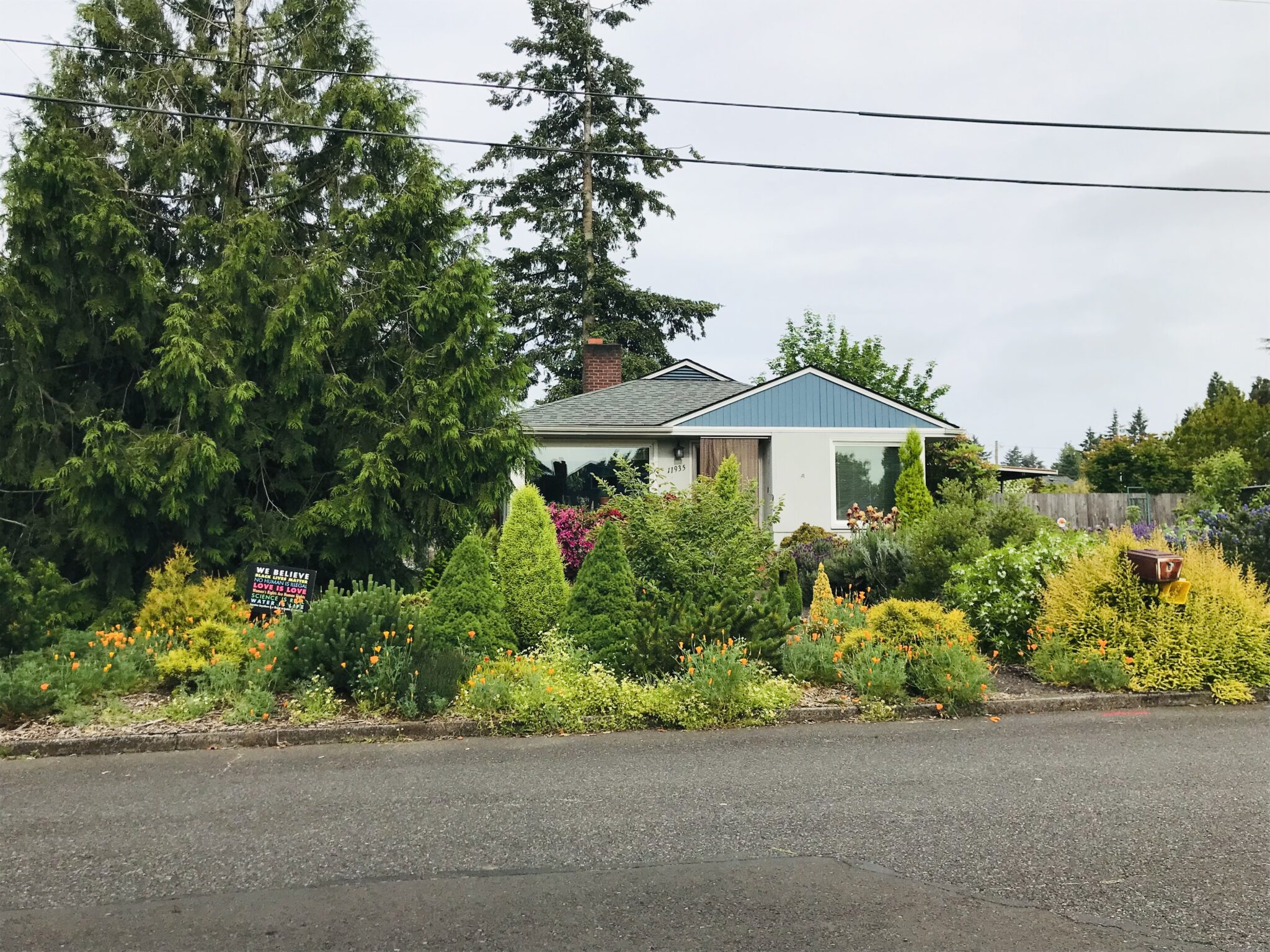 Open Gardens Project - Featuring Amy's Habitat - Backyard Habitats